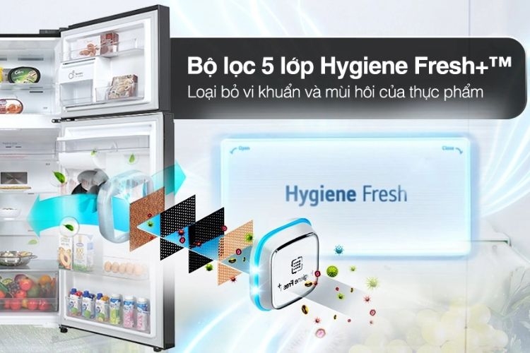 Công nghệ Hygiene Fresh+ là gì? Bộ lọc kháng khuẩn tủ lạnh LG